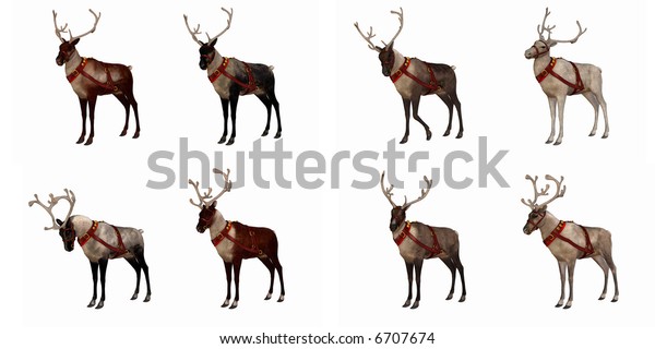 Santas Eight Reindeer Dasher Dancer Prancer Stock Illustration 6707674 Santas Eight Reindeer Dasher Dancer Prancer Stock Illustration 6707674