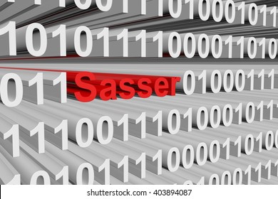 5 imágenes de Sasser - Imágenes, fotos y vectores de stock | Shutterstock