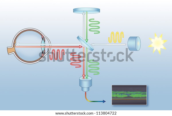 1 Time Encoded Frequency Domain Images, Stock Photos & Vectors ...