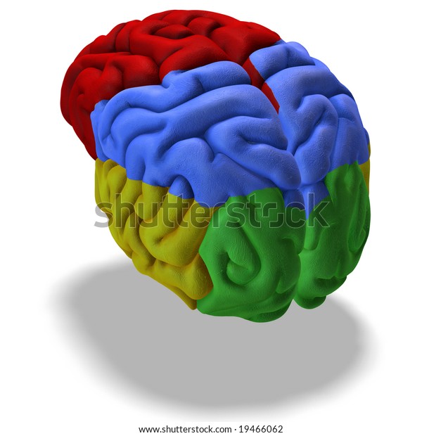 Schematic Illustration Human Brain Clipping Path Stock Illustration ...