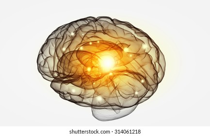 87,072 Human brain white background Images, Stock Photos & Vectors ...