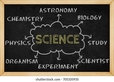 Volunteer Mind Mapping Hand Drawn Style Stock Photo 594230195 ...