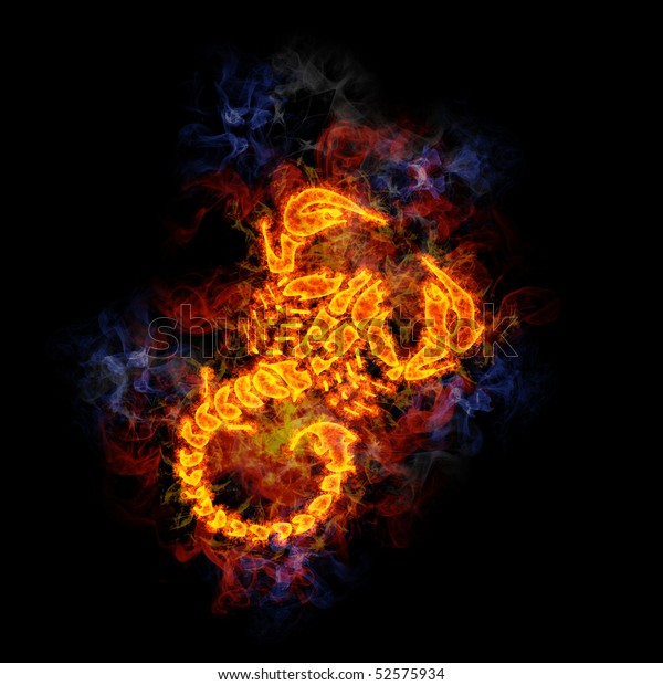 Scorpion Covered Flames Stock Illustration 52575934 | Shutterstock