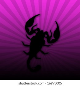 Scorpion Pink Background Stock Illustration 16973005 | Shutterstock