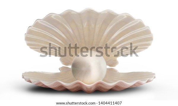 Sea Shells Pearl Inside Gem Womens Stock Illustration 1404411407 ...