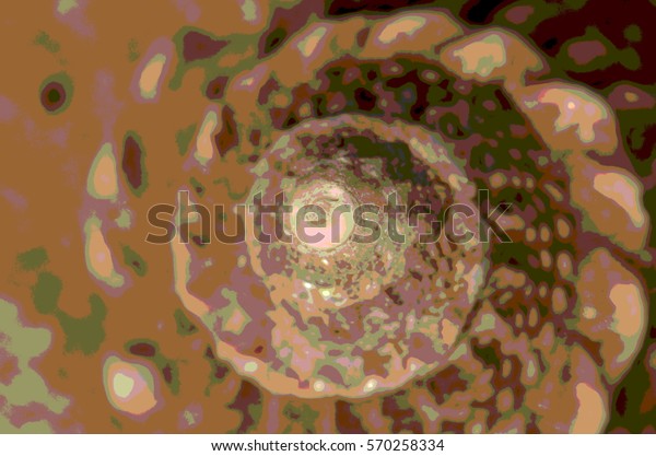 Sea Snail Shell Texture Centered Neutrals Stock Illustration 570258334 ...