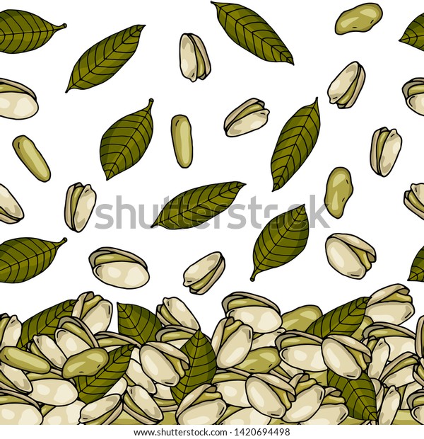 Seamless Border Hand Drawn Colored Pistachios Stock Illustration ...