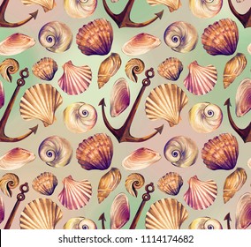 Set Seashells Conch Fan Shell Cockleshell Stock Illustration 1114176227