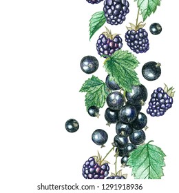 3,641 Blackberry border Images, Stock Photos & Vectors | Shutterstock