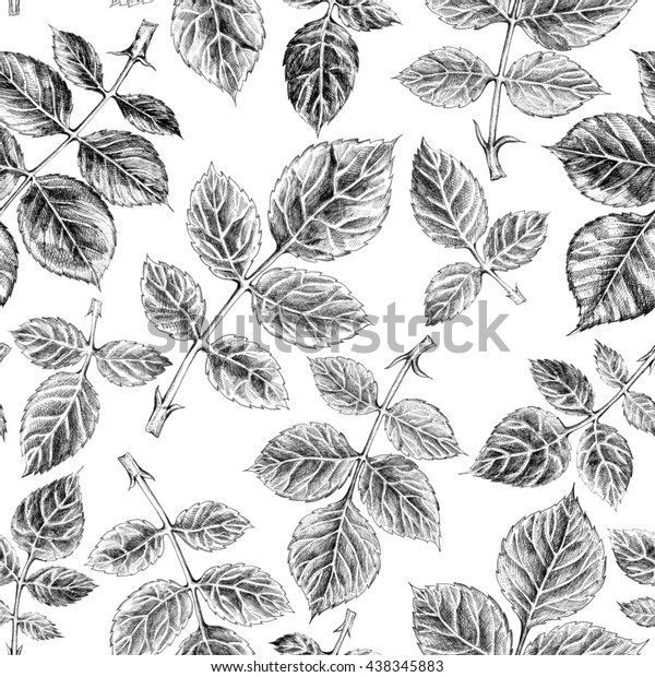 Seamless Pattern Leaf Vintage Roses Leaves Stock Illustration 438345883 ...