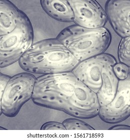 Seamless Pattern Single Cell Microorganisms Microbiomes Stock ...