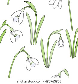 Hand Painted Watercolor Snowdrops Botanical Illustration Stock ...