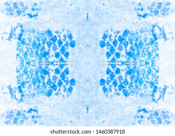 Seamless Predator Pattern Blue White Colors Stock Illustration ...