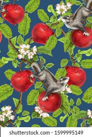 109 Red sugar glider Images, Stock Photos & Vectors | Shutterstock