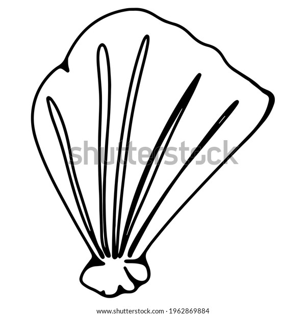 Seashell Clam Linear Doodle Contour Hand Stock Illustration 1962869884 ...