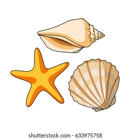 28,918 Cartoon seashell Images, Stock Photos & Vectors | Shutterstock