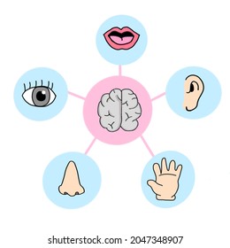 Sensory Processing On White Backgroundcartoon Writing Stock ...