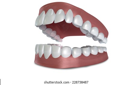 Separated Upper Lower Sets Human Teeth Stock Illustration 228738487