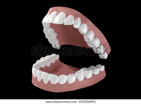 Seperated Upper Lower Sets Human Teeth Stock Illustration 105006896