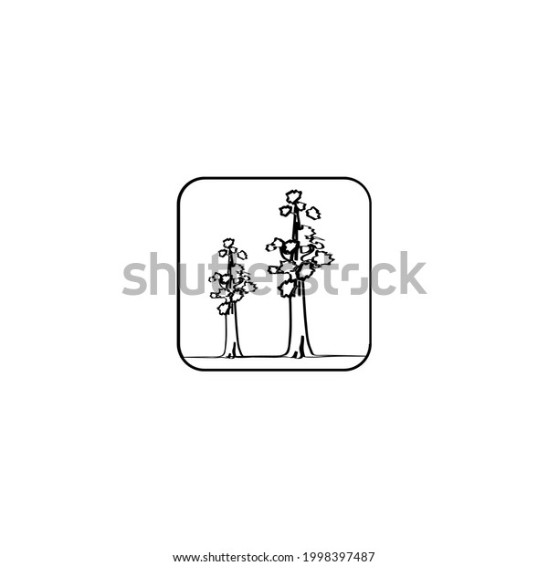 Sequoia Tree Icon Symbol Logo Illustration Stock Illustration ...