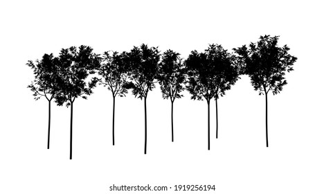 Set Black Shadow Tree Grey Symbol Stock Illustration 1919256194 ...