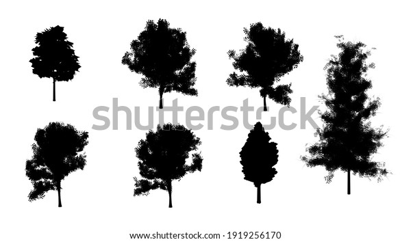 Set Black Shadow Tree Grey Symbol Stock Illustration 1919256170