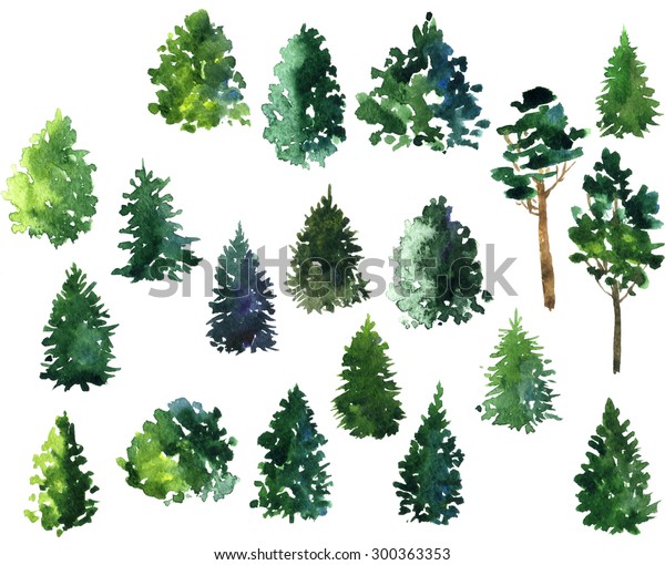 Set Conifer Trees Drawing By Watercolor Stock Illustration 300363353