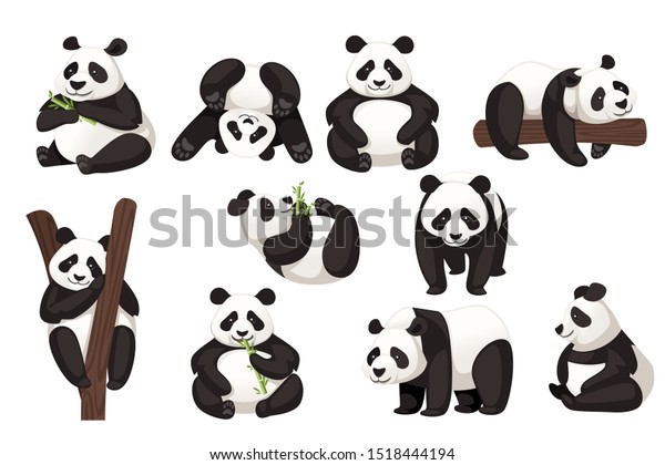 Set Cute Big Panda Different Poses Stock Illustration 1518444194 ...