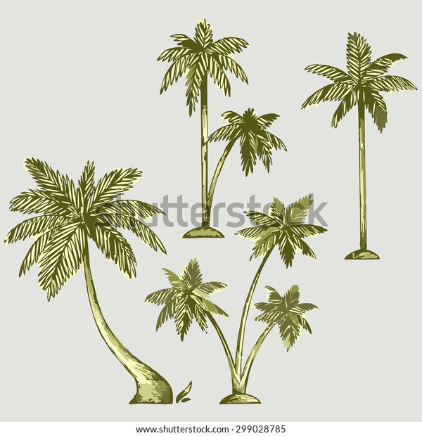 Set Different Palm Trees Raster Version Stock Illustration 299028785 ...