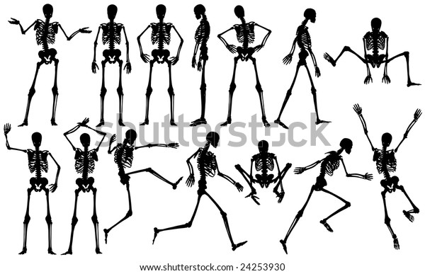 Set Male Skeleton Outlines Vector File Stock Illustration 24253930