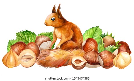 Set Nuts Squirrel On White Background Stock Illustration 1543474382