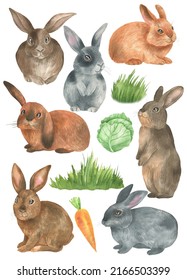Set Rabbits Isolated Elements On White Stock Illustration 2166503399 ...