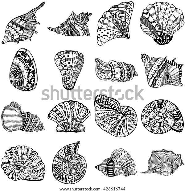 Set Shell Hand Drawn Aquatic Doodle Stock Illustration 426616744 ...