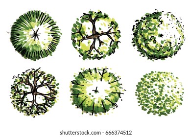Vector Flower Tree Top View Isolated Stock Vector (Royalty Free ...