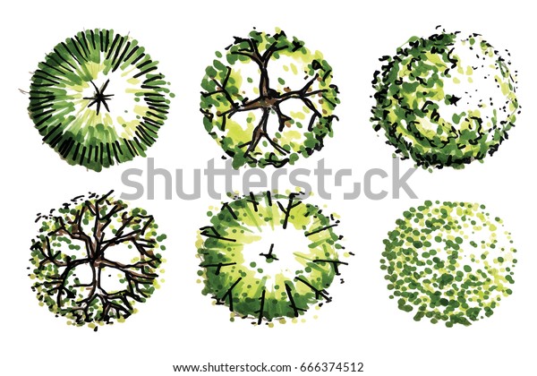 Set Tree Plan Landscape Design Abstract 库存插图 666374512 | Shutterstock
