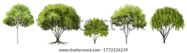 Set Tree Side View Landscape Architecture Stock Illustration 1772226239
