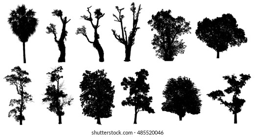 Set Tree Silhouette Clipping Path Stock Illustration 485520046 ...