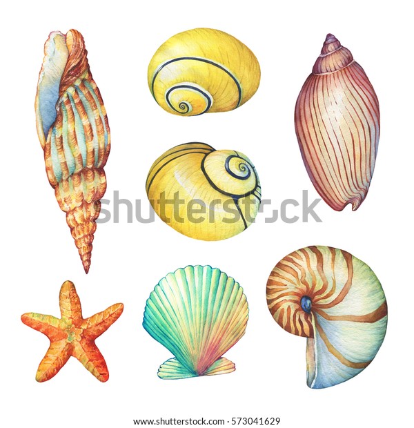 Set of underwater life objects - illustrations of various tropical ...
