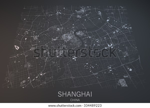 Shanghai Map Satellite View Section 3d Stock Illustration 334489223
