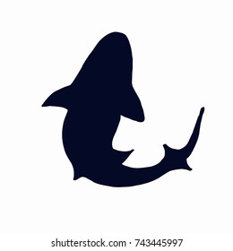 Shark Shadow Stock Illustration 743445997