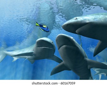 2,335 Little fish shark Images, Stock Photos & Vectors | Shutterstock