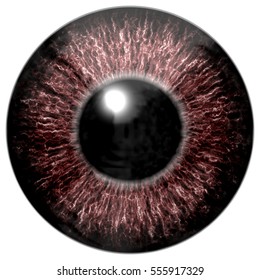 Sharp Attractive Deep Eye Texture Stock Illustration 555917329 ...