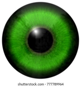 Sharp Colourful Eye Texture Stock Illustration 778966369 | Shutterstock