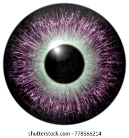 Sharp Colourful Eye Texture Stock Illustration 778566214 | Shutterstock