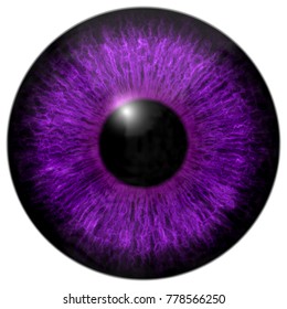Pink Eye: ilustrações stock 269632361 | Shutterstock
