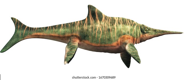 Ichthyosaur Images, Stock Photos & Vectors | Shutterstock