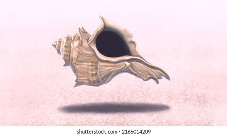 Shell Sand Beach Concept Idea Sea Stock Illustration 2165014209 ...