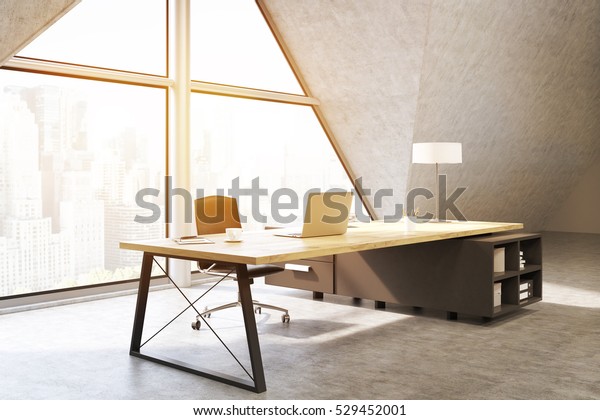 Side View Ceo Office Large Triangular Stock Illustration 529452001 ...