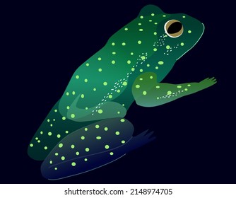 2,685 Frog side view Images, Stock Photos & Vectors | Shutterstock