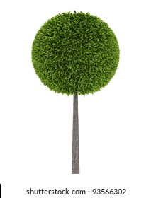92,903 Ball shaped tree Images, Stock Photos & Vectors | Shutterstock